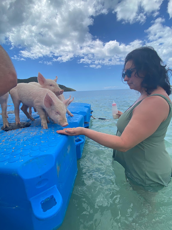pigs-33-antigua-2023-day-5 – WeHeartDisney