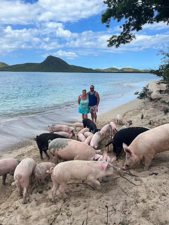 pigs-39-antigua-2023-day-5 – WeHeartDisney