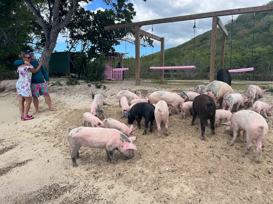 pigs-40-antigua-2023-day-5 – WeHeartDisney