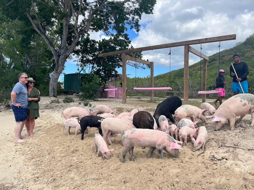 pigs-41-antigua-2023-day-5 – WeHeartDisney