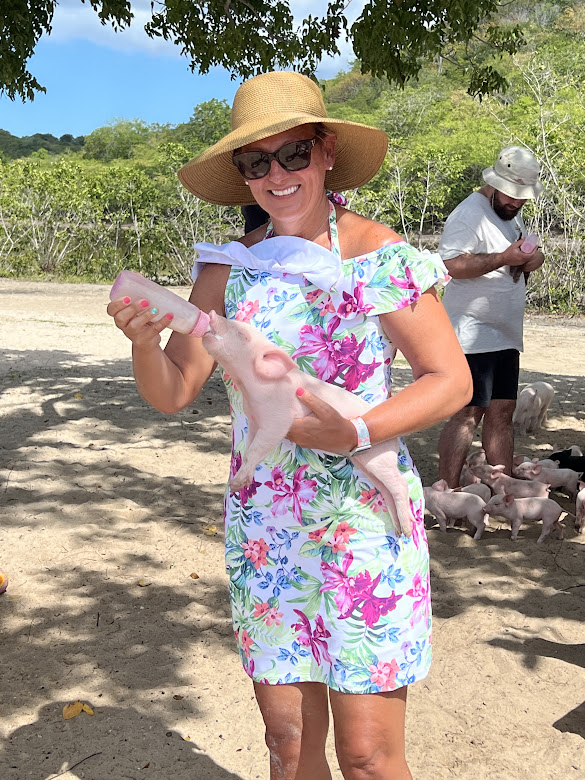 pigs-46-antigua-2023-day-5 – WeHeartDisney